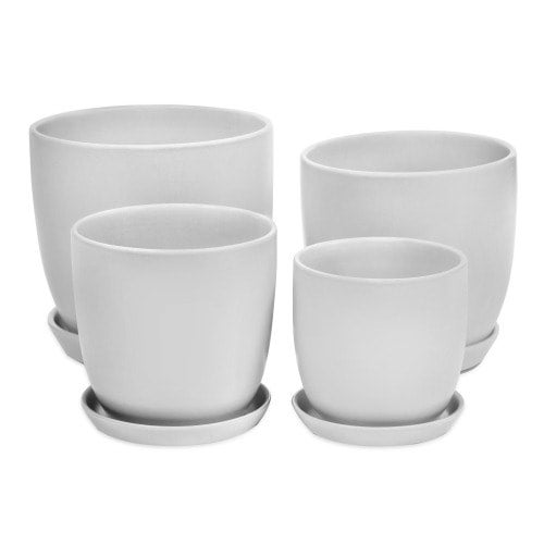 Elevate Your Space with Our Stylish Indoor Plant Pots | Exotic Botanic